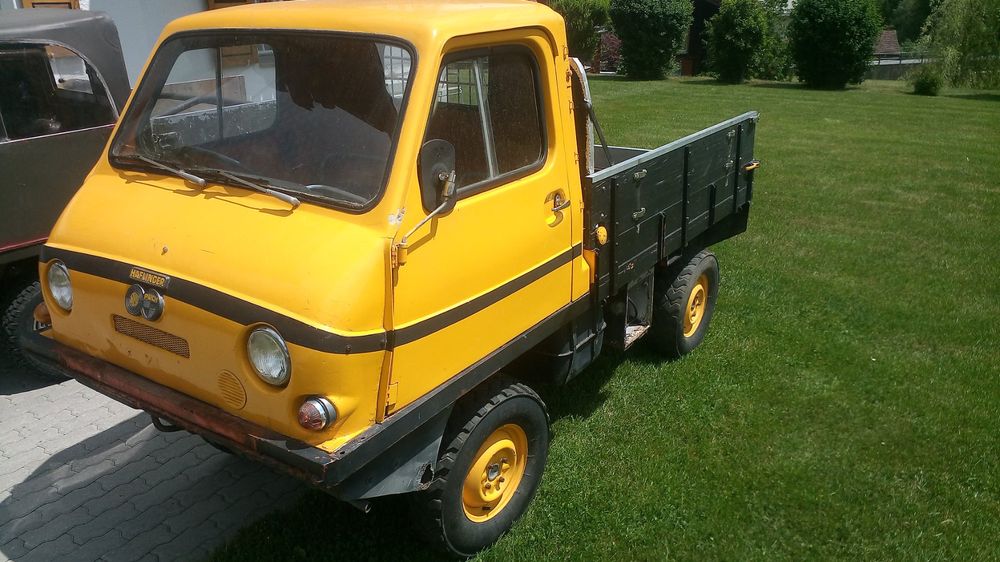 Steyr Puch haflinger | Kaufen auf Ricardo