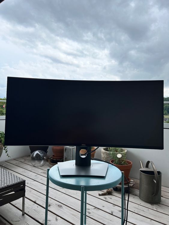 Dell Monitor U3818DW Curved 38 Zoll (90x40x97cm) | Kaufen auf Ricardo