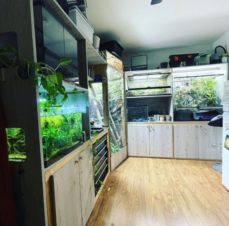 OFFRE LIMITÉE (15.03.26) Meuble unique aquarium et terrarium (Neu ...