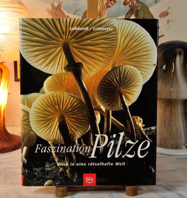 Faszination Pilze - Bildband Labhardt/Lohmeyer, (Gebraucht) in ...