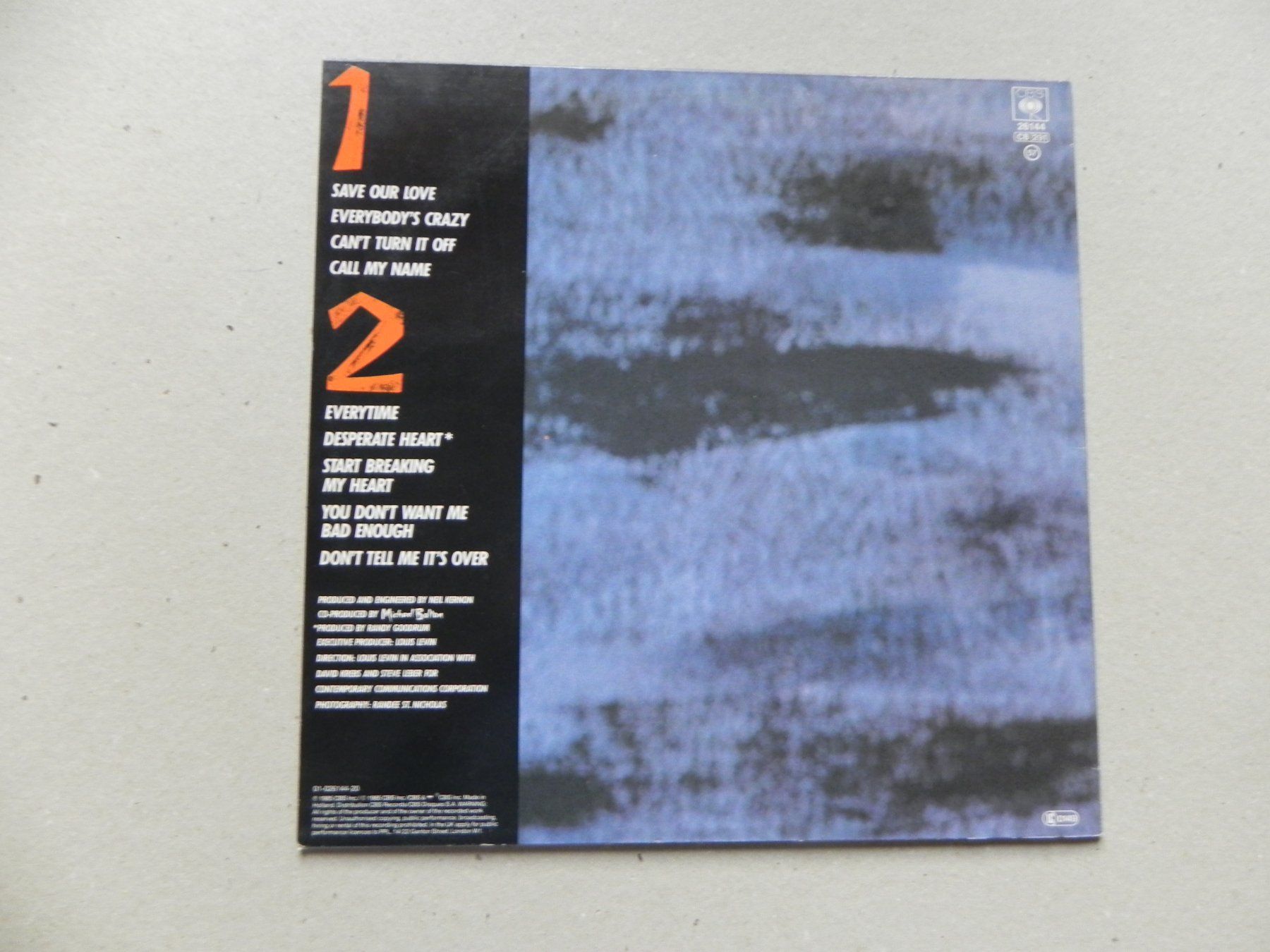 LP USA Pop Rock Michael Bolton 1985 Everbody`s Crazy (Gebraucht) in ...