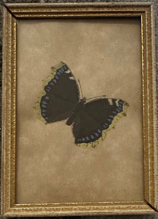 Antike Schmeterlin Aquarell (Gebraucht) in Hochdorf für CHF 5 – mit Lieferung auf Ricardo kaufen