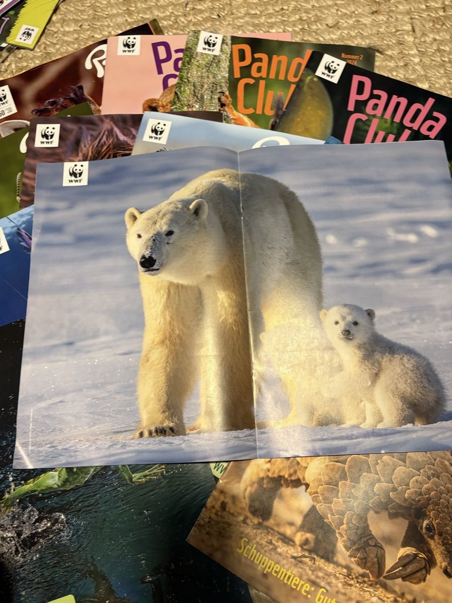 WWF Panda Club Magazine, diverse Ausgaben, Top Zustand! (Gebraucht) in ...