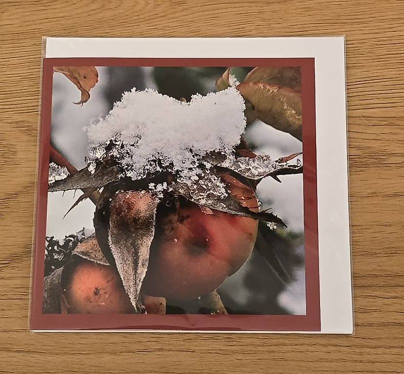 Doppel Karte Quadrat NEU (Gebraucht) in Chur für CHF 6 – nur Abholung ...