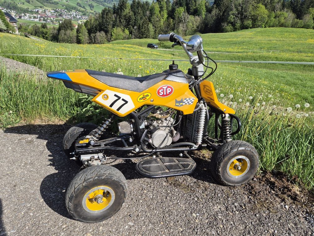 Mini Quad 50ccm (Gebraucht) in Hittnau für CHF 220 – nur Abholung auf ...