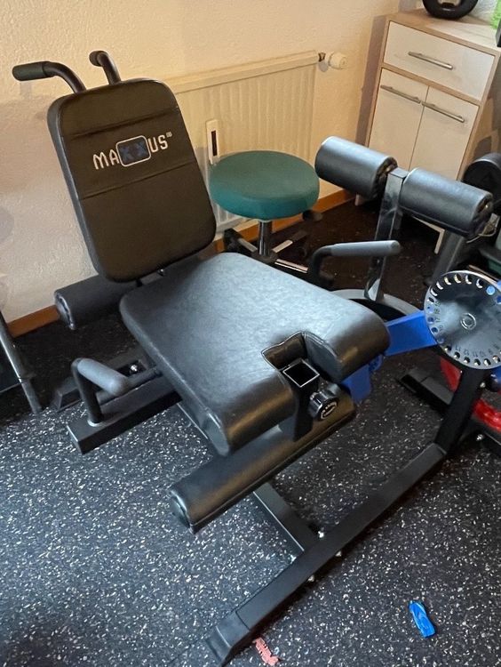 MAXXUS Multi Trainer Pro | Kaufen auf Ricardo