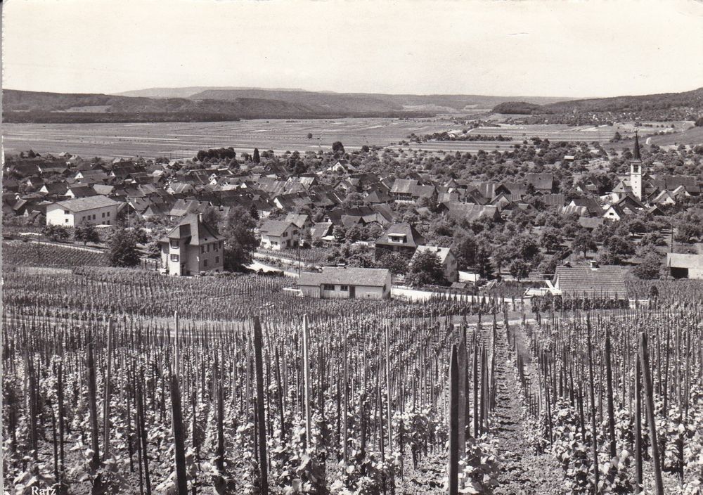 Rafz (ZH) Dorfansicht mit Rebberg im Vordergrund. 1960 (Gebraucht) in Schlieren für CHF 4 – mit ...
