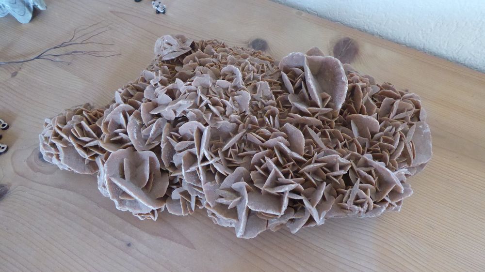 Sandrose | Kaufen auf Ricardo