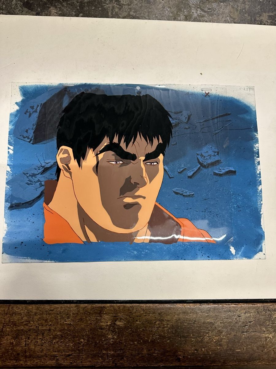 Celluloid Manga, jeux vidéo Cadillacs&Dinosaures. (Gebraucht) in Genève ...