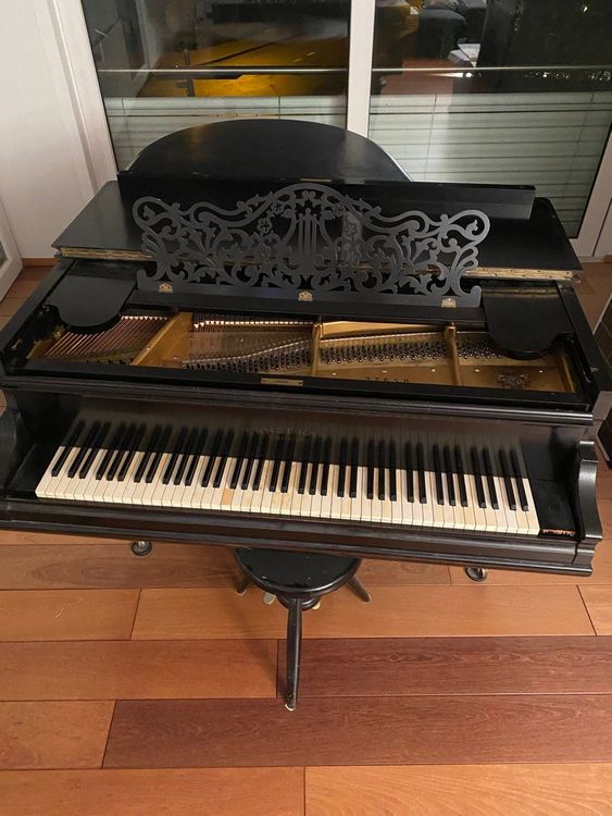 Ernst Kaps Konzertflügel aus Leipzig & den Anfangs 1900 (Gebraucht) in ...