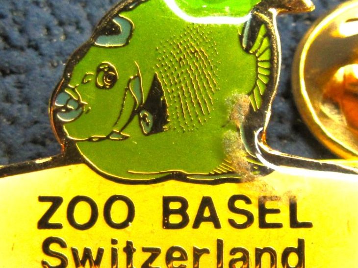 BASEL PIN ZOO SWITZERLAND " FISCH " GLASIERT (Gebraucht) in Ettingen ...