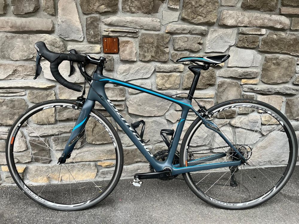 Vélo de route Specialized Ruby Elite Carbone 51cm (Gebraucht) in Versegères für CHF 1190 – nur ...