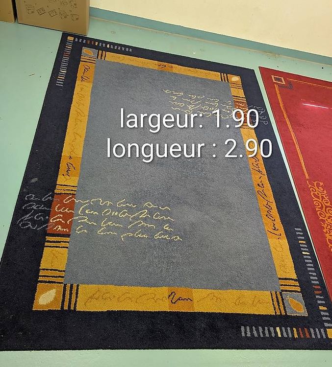 Grand tapis pour salle de jeux ou autres (Gebraucht) in Bournens für ...