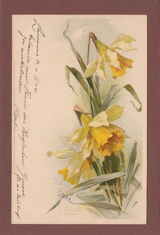 Catharina KLEIN - Signé - Fleurs | Kaufen auf Ricardo