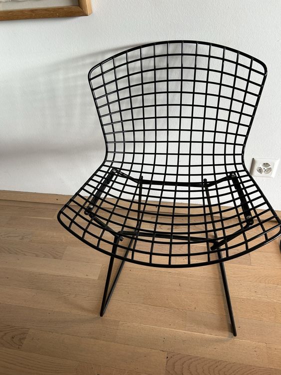 Chaise Bertoia Occasion