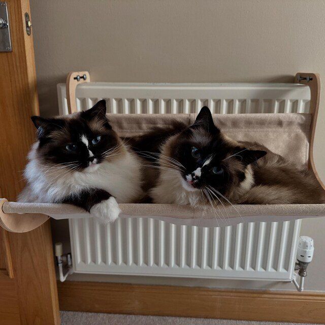 Für große Katzen. Katzenhängematte XXL. Selbst gemacht (Neu und ...