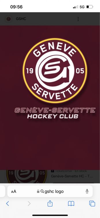 Ticket finale ligue de champion GSHC | Acheter sur Ricardo