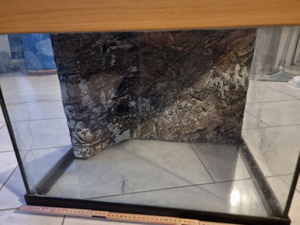 Aquarium Mit 3d Ruckwand