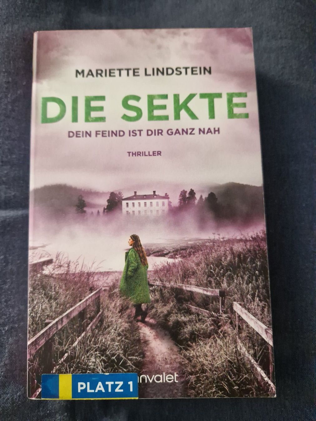 Mariette Lindstein Die Sekte Dein Feind ist dir ganz nah 5 (Gebraucht ...