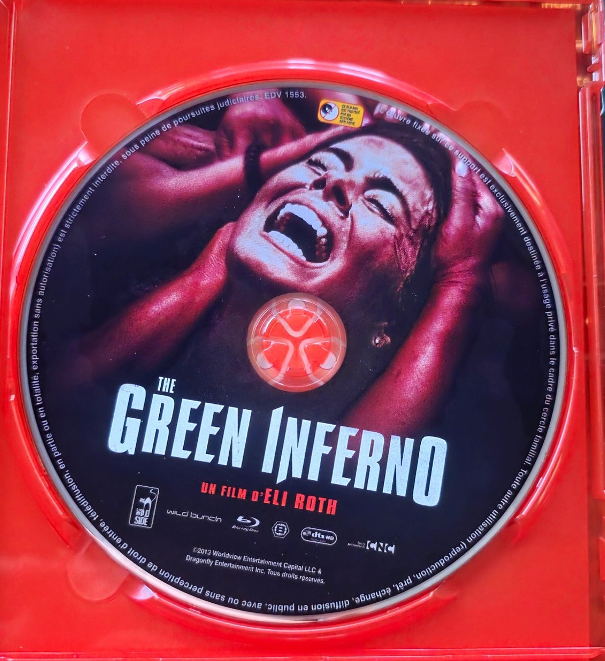 The Green Inferno (2013) - Blu-ray (D'occasion) à Semsales pour CHF 10 ...