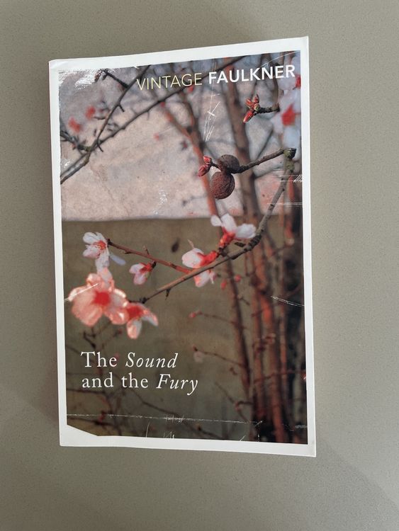 Vintage Faulkner: The Sound and the Fury (Gebraucht) in Adliswil für ...