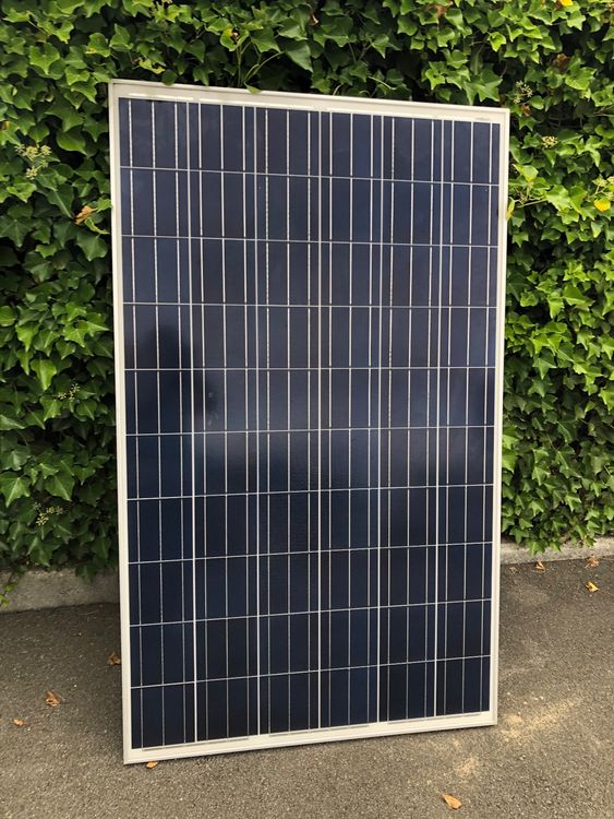 Solarpanels JAP6-60-260/3BB (Gebraucht) in Baldegg für CHF 109 – nur ...