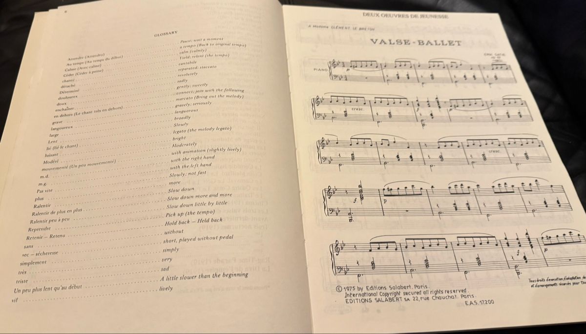 ERIK SATIE- Piano Songbook 288 S. (Gebraucht) in hunzenschwil für CHF ...