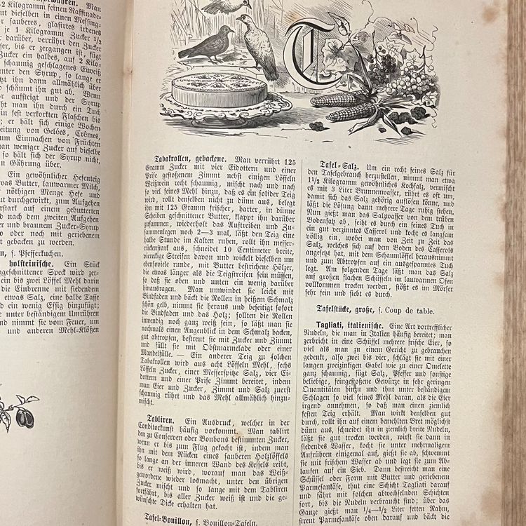 Universallexikon der Kochkunst 2. Band 1881 (Gebraucht) in Schwyz für ...