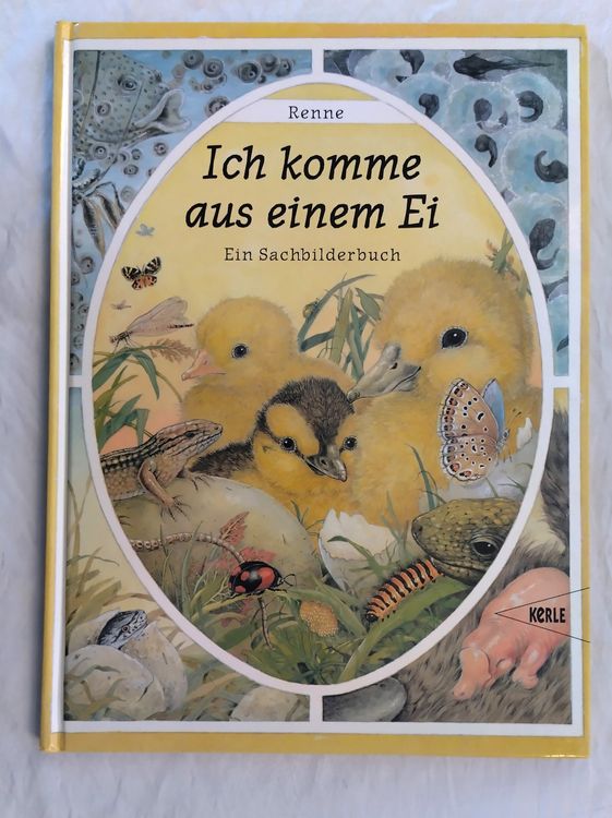 Ich komme aus einem Ei / Sach - Bilderbuch ab Fr. 8.- (Gebraucht) in ...
