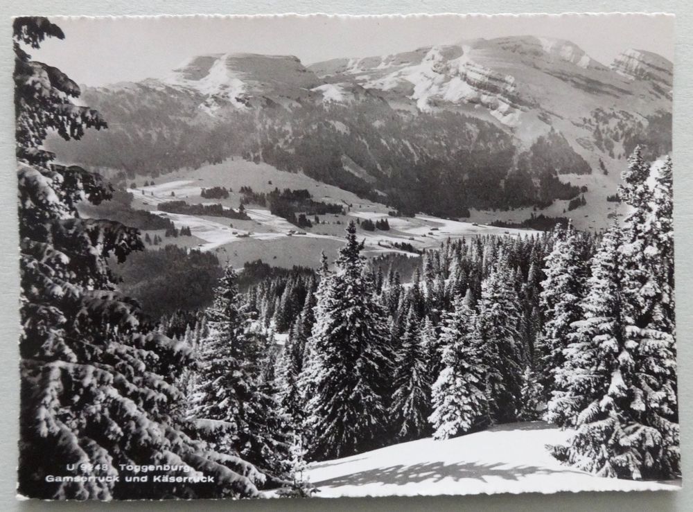 Toggenburg - Gamserruck und Käserruck | Kaufen auf Ricardo