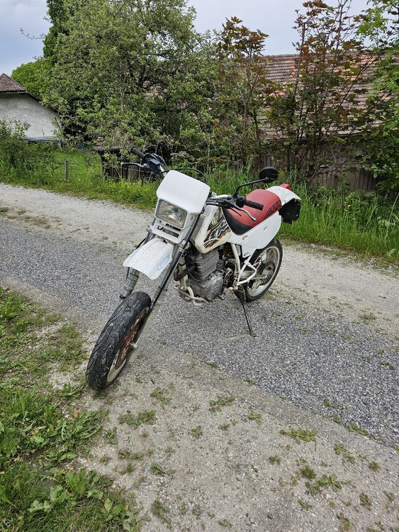 Honda Monnier MXR 600 Motorrad Supermoto Monobike Enduro | Kaufen auf ...