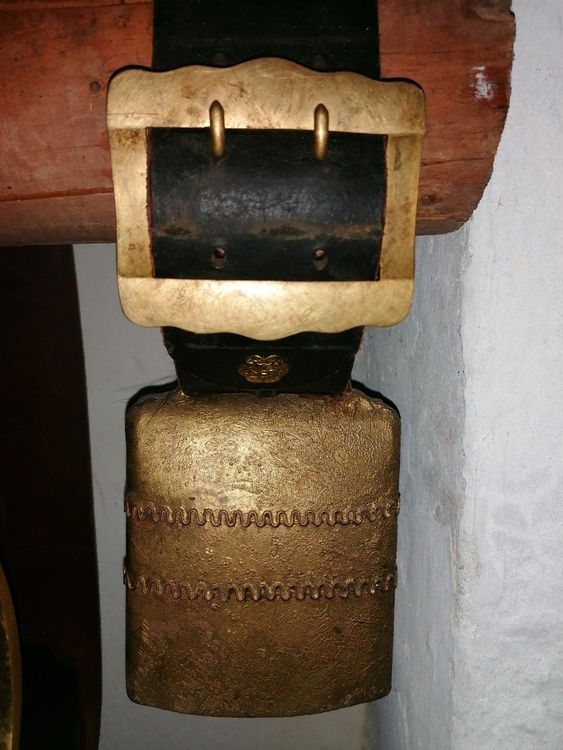 Talax (Gebraucht) in Zillis für CHF 101 – mit Lieferung auf Ricardo kaufen