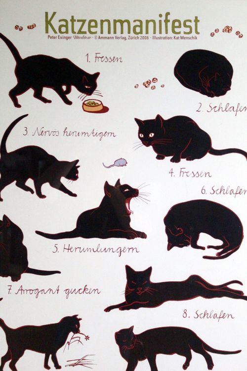 KAT MENSCHIK (Germany, *1968) Katzenmanifest, Zürich, 2006 | Kaufen auf ...