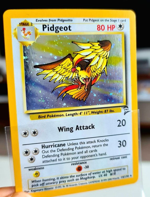 Pidgeot Holo Base Set 2 EN (NM+) (Gebraucht) in Wettingen für CHF 36 ...
