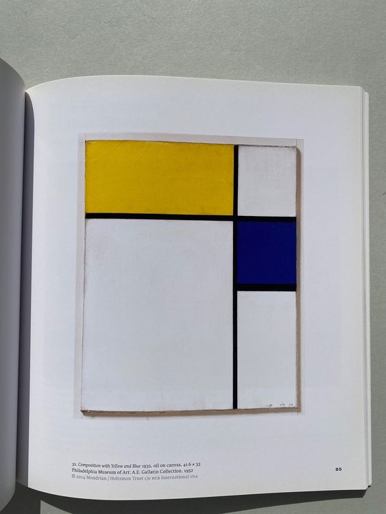 Mondrian and His Studios: Colour in Space Art Book. (Gebraucht) in ...