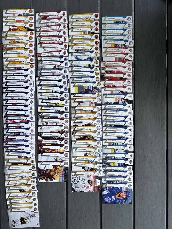 Sportzoo - National League Series 2 Basic Card Komplett (Neu (gemäss Beschreibung)) in Herbligen ...