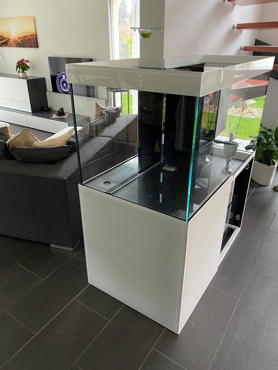 Meerwasser Aquarium 120x60x60 (Neu (gemäss Beschreibung)) in Berikon für CHF 4470 – nur Abholung ...