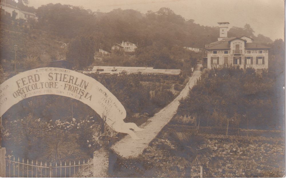 AK Ferd Stierlin Orticoltore - Fiorista - Lugano 1910 (Gebraucht) in ...