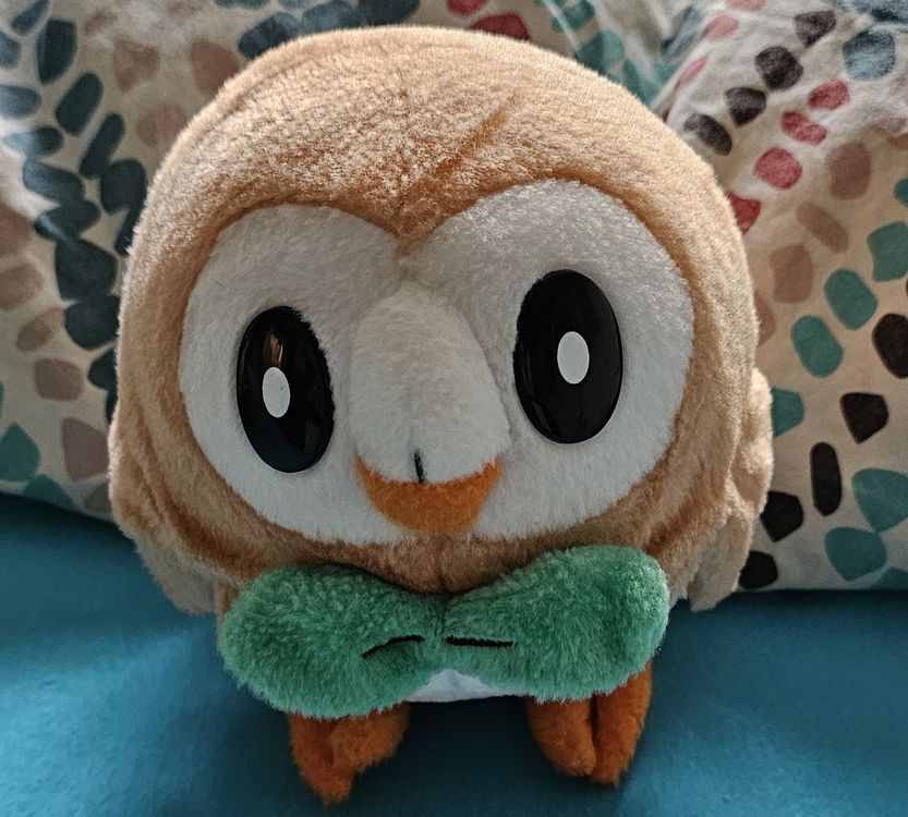 Pokemonplüschtier Bauz (Gebraucht) in Wädenswil für CHF 1 – mit ...