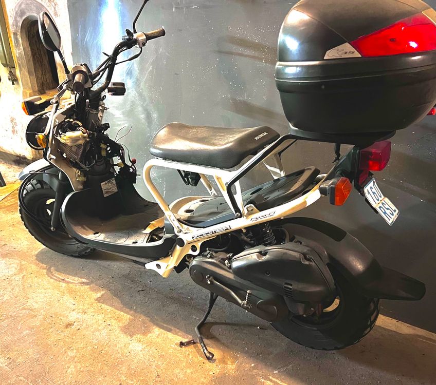 Honda NPS 50 Zoomer (Gebraucht) in Bern für CHF 320 – nur Abholung auf ...