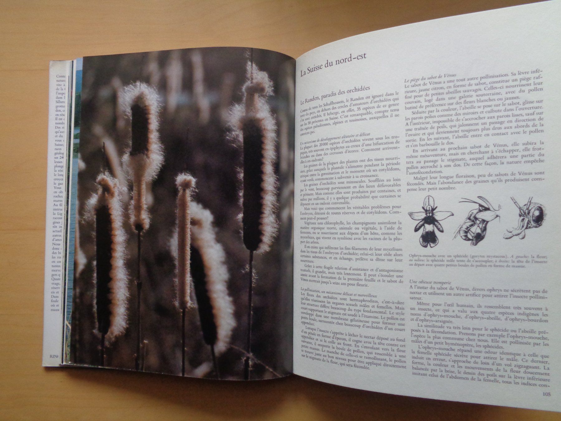 Les Plus belles réserves naturelles de Suisse (1980) (D'occasion) à ...