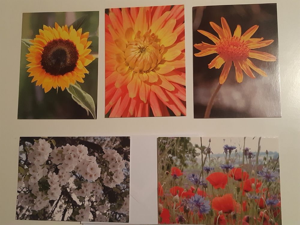 5 Karten / Blumen mit Kuverts - neuwertig (Neu (gemäss Beschreibung ...