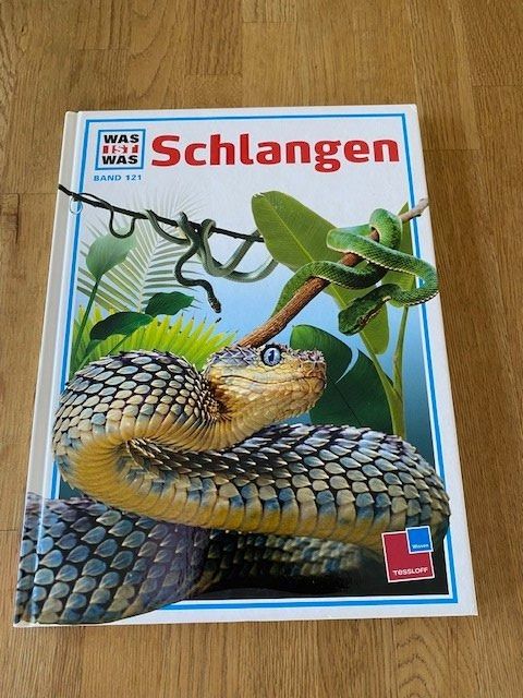 Schlangen - Was ist Was (Gebraucht) in St. Gallen für CHF 7 – mit Lieferung auf Ricardo kaufen