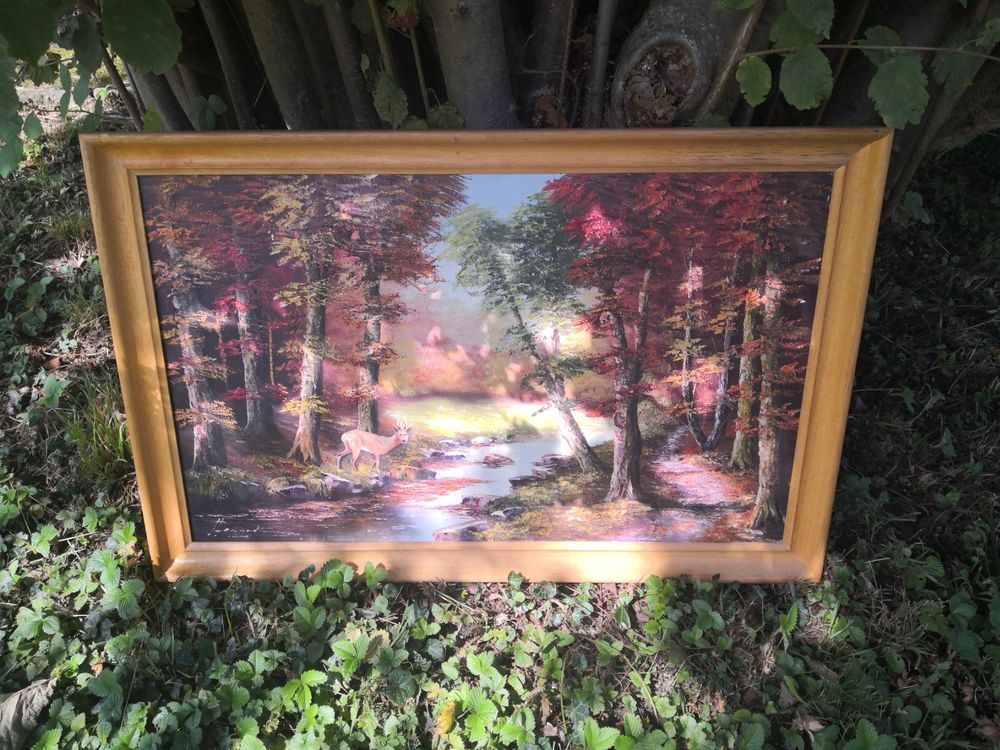 Wald Gemälde 58x88 / 48x78cm (Gebraucht) in Monthey für CHF 30 – mit Lieferung auf Ricardo kaufen