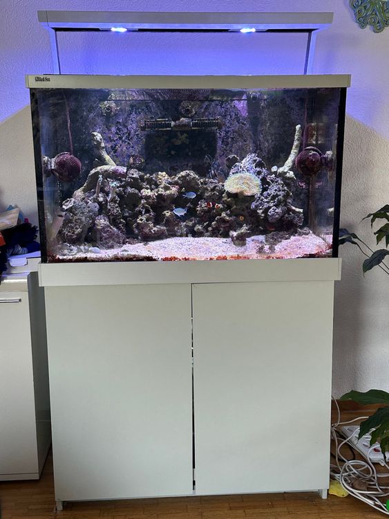 aquarium eau de mer complet (Gebraucht) in Romanel-s-Lausanne für CHF 5000 – nur Abholung auf ...