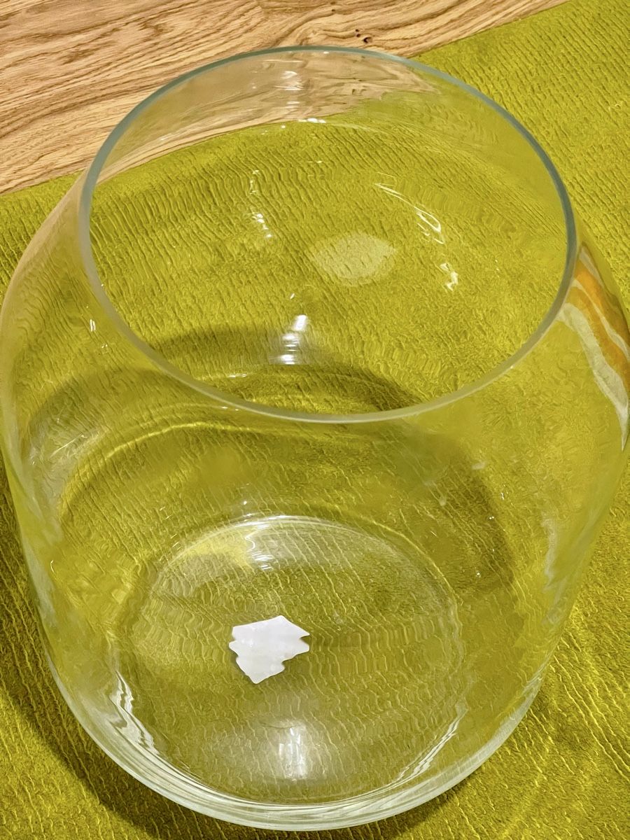 Glasgefäß / Glasvase 20 Liter – ideal für Terrarium & Pflanz (Gebraucht ...