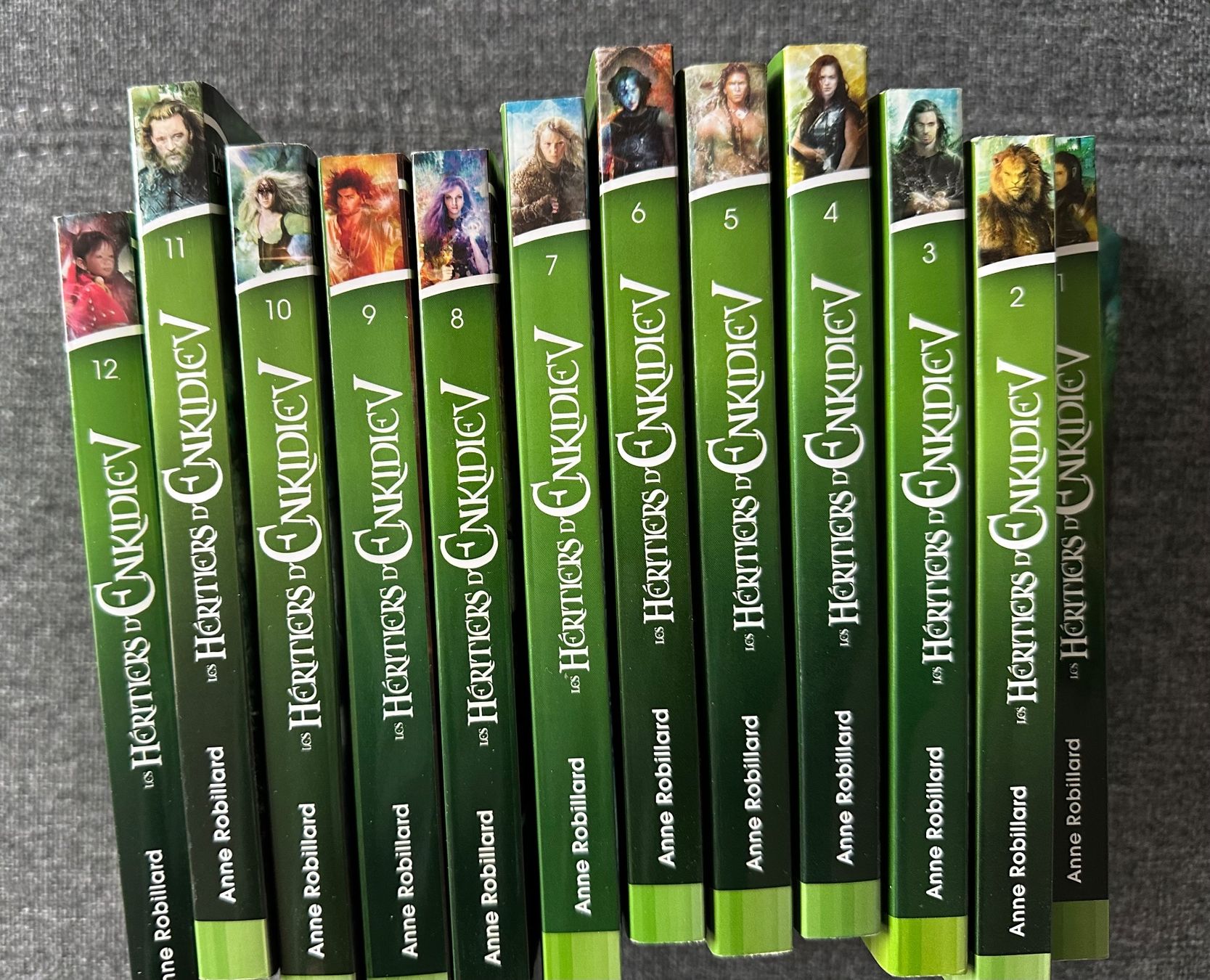 🟢 Les Chevaliers d'Enkidiev, 12 tomes, collection complète (Neuf (Voir description)) à Misery ...