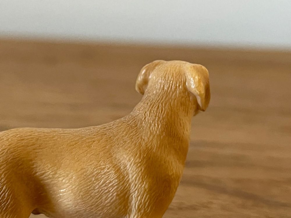 Schleich 16386 Labrador Rüde Hund (Gebraucht) in Ennetbaden für CHF 7 – mit Lieferung auf ...