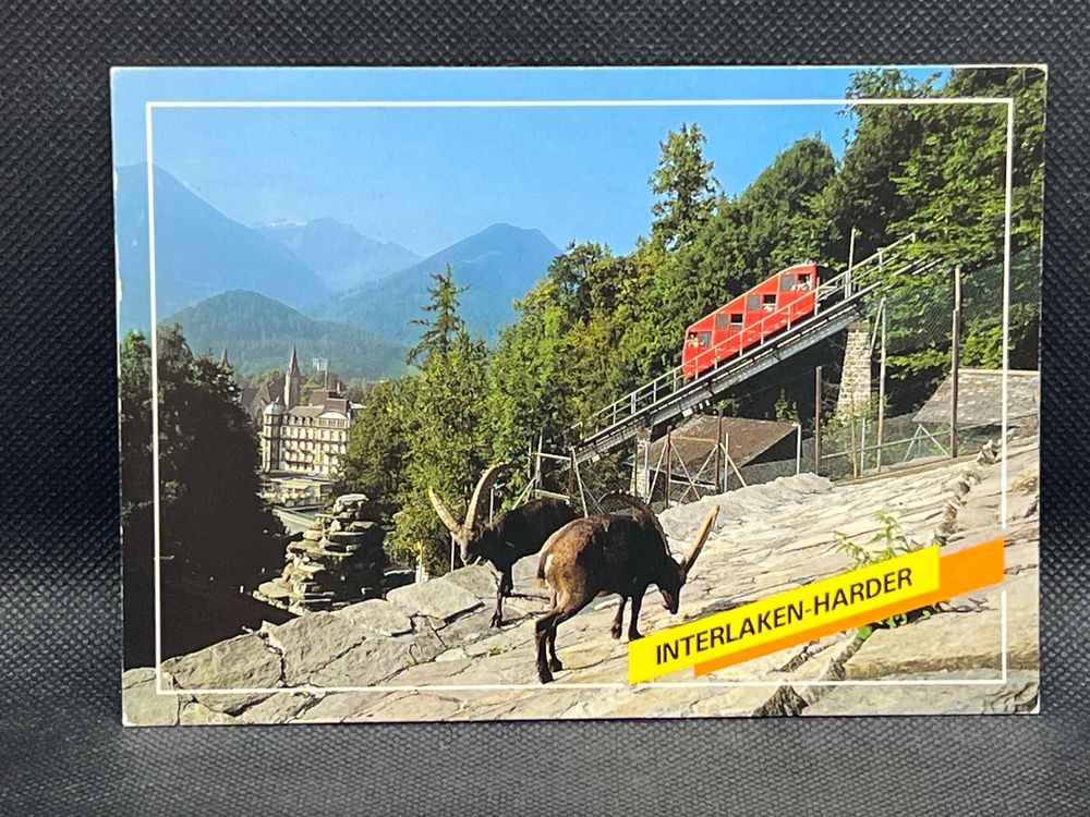 Interlaken / Harderbahn / Steinwildpark (Gebraucht) in Widnau für CHF 1 ...