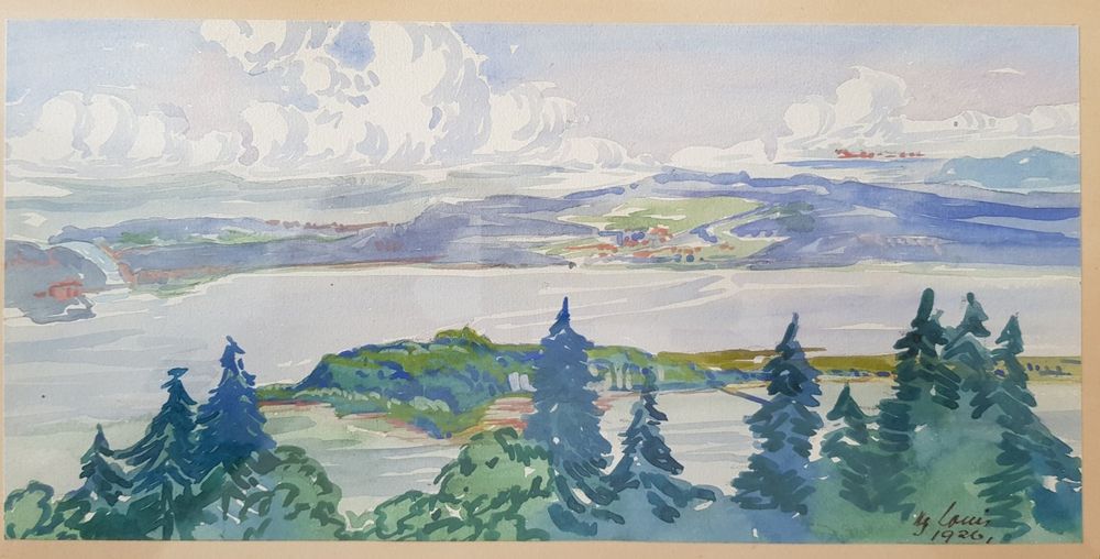 HS Louis 1926 Lac de Bienne Région de la Neuveville Berne (D'occasion ...